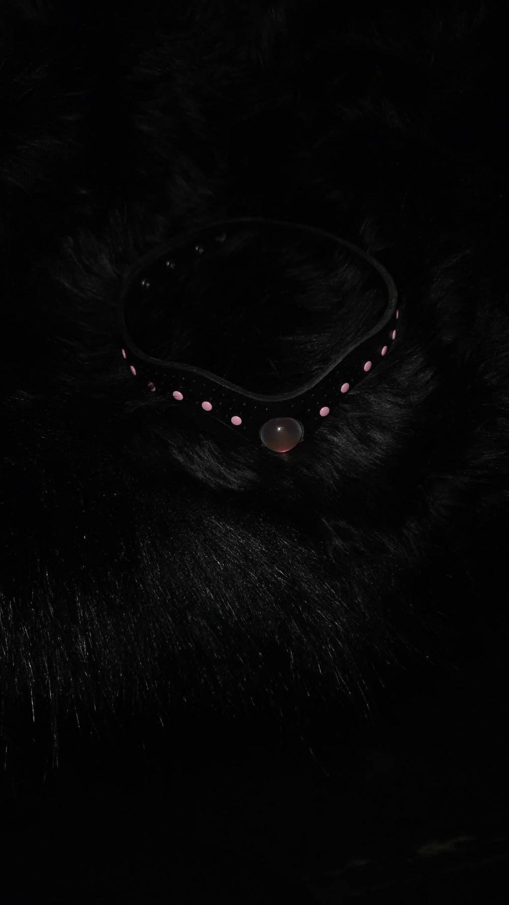 LILITH – WiG